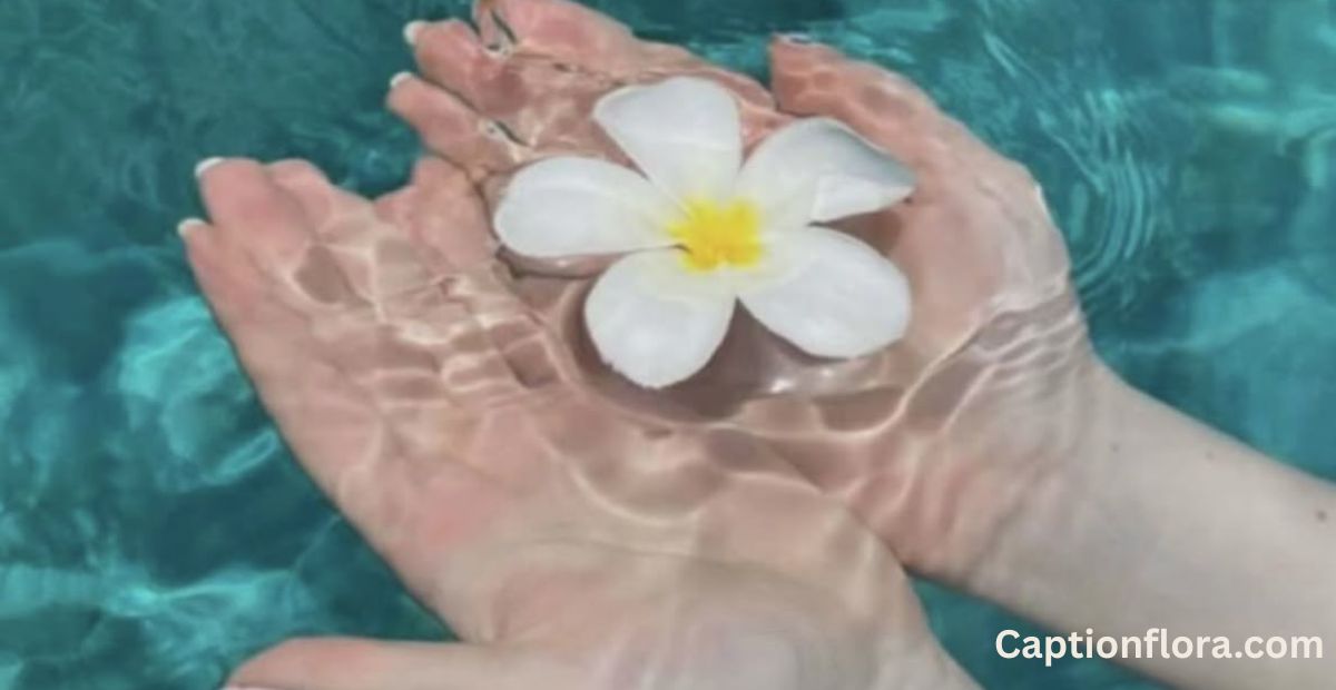 275+ Best Pool Captions for Instagram That Make a Splash